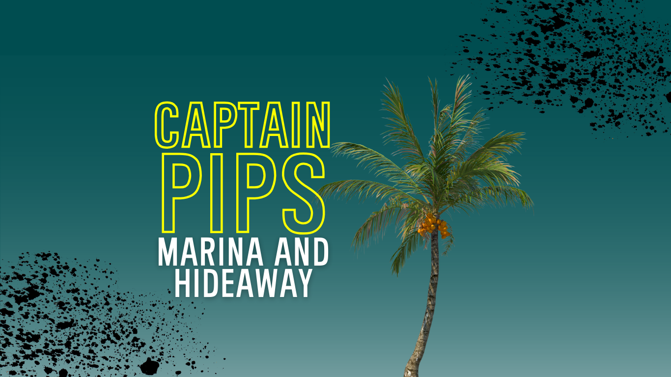 Captain Pip's Case Study - Digital Marketing Success by Johnston ...